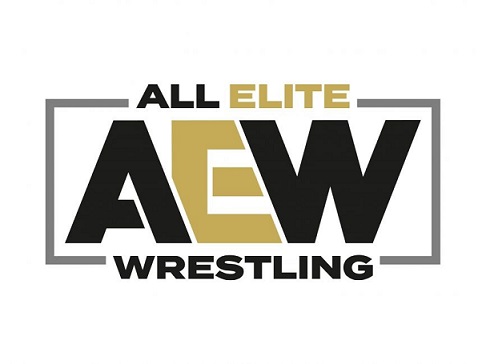 AEW – The Wrestling Fan